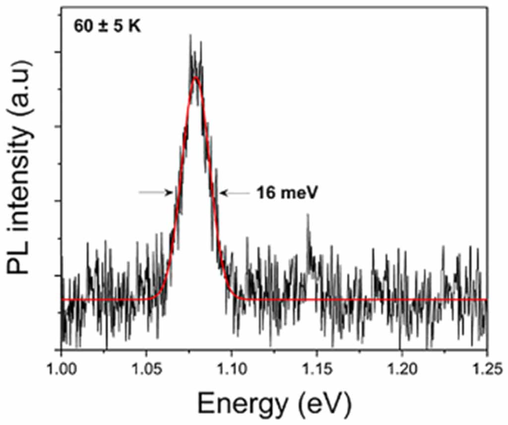 Site-controlled growth of In(Ga)As/GaAs quantum dots on patterned ...