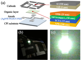 Piezoelectric dispenser printing and intense pulsed light sintering of ...