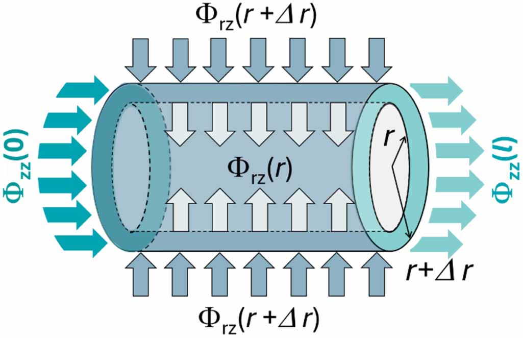 Understanding the competing growth of 2D and 3D transition metal ...