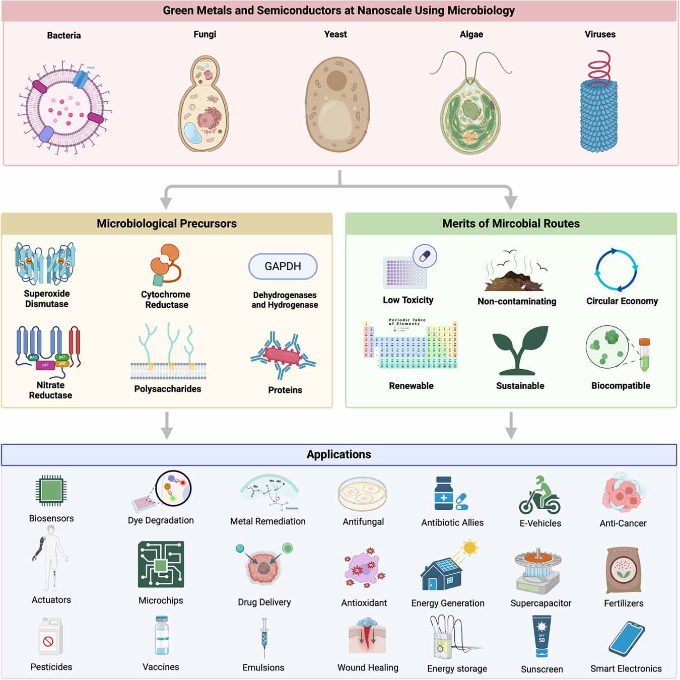 A paradigm of microbe-mediated green nano-semiconductors and nano ...
