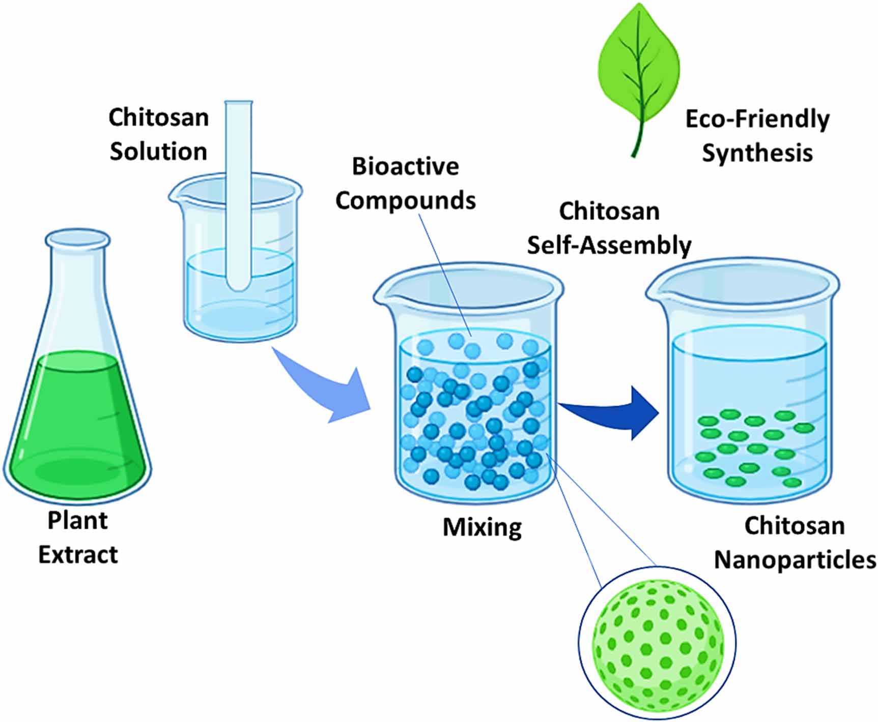 Precision nanoscale engineering of chitosan nanoparticles via ionic ...