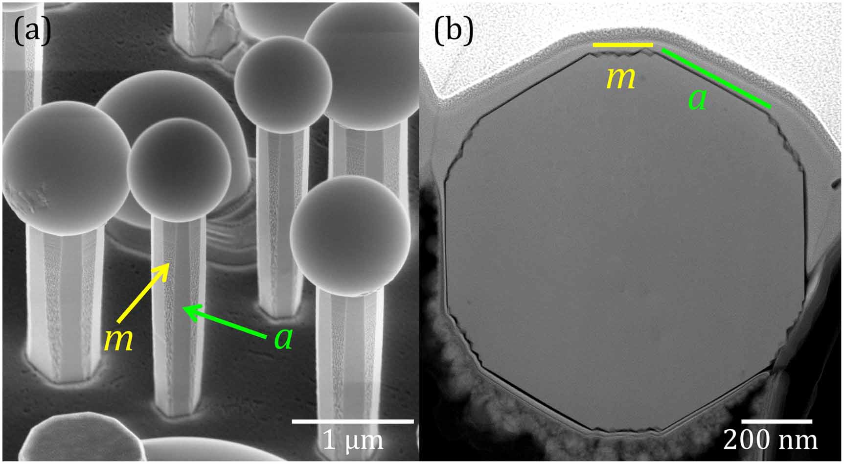 Influence of grown conditions on dodecagonal GaN micro-pillars ...