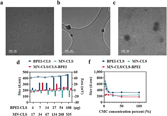 Supramolecular assembly of cholesterol-conjugated mannan and ...