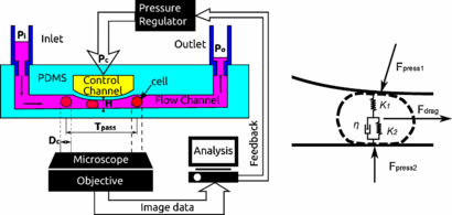Real-time control of a microfluidic channel for size-independent ...