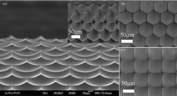 A facile method to fabricate close-packed concave microlens array on ...
