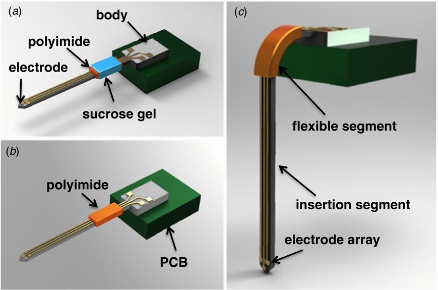 Partially flexible MEMS neural probe composed of polyimide and sucrose ...