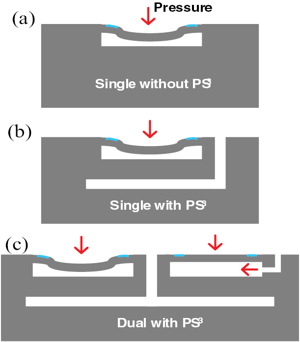 A dual-unit pressure sensor for on-chip self-compensation of zero-point ...
