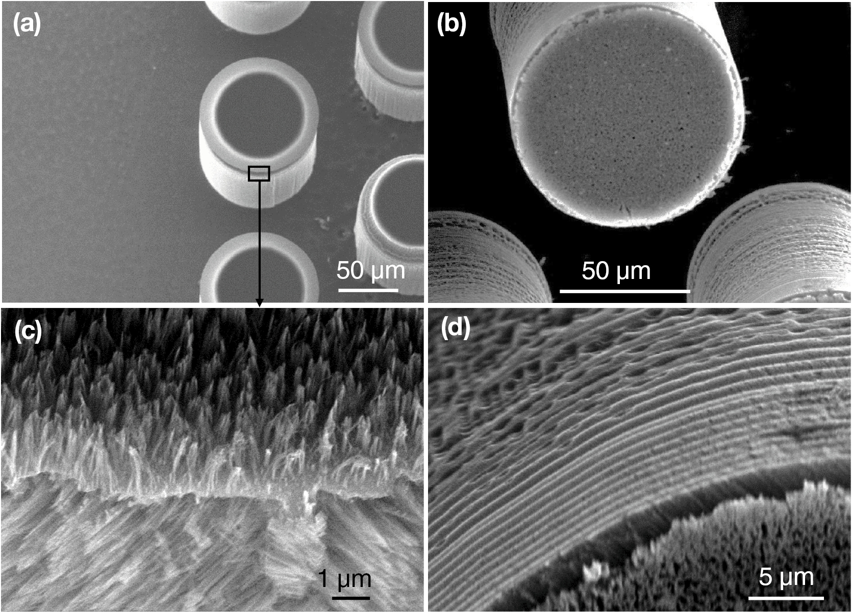 Hierarchically structured re-entrant microstructures for ...