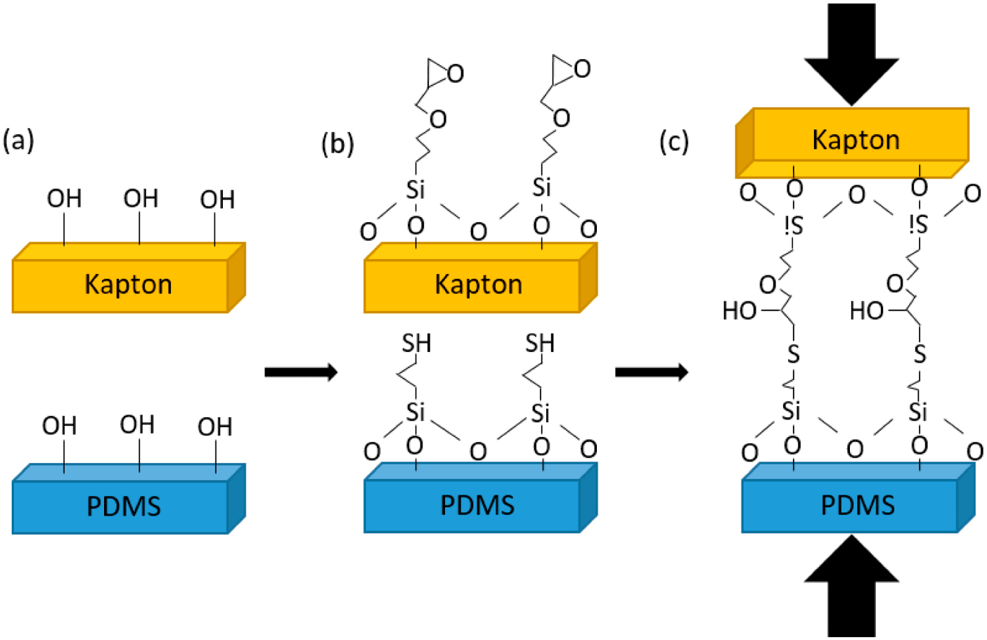 Irreversible bonding of polyimide and polydimethylsiloxane (PDMS) based ...