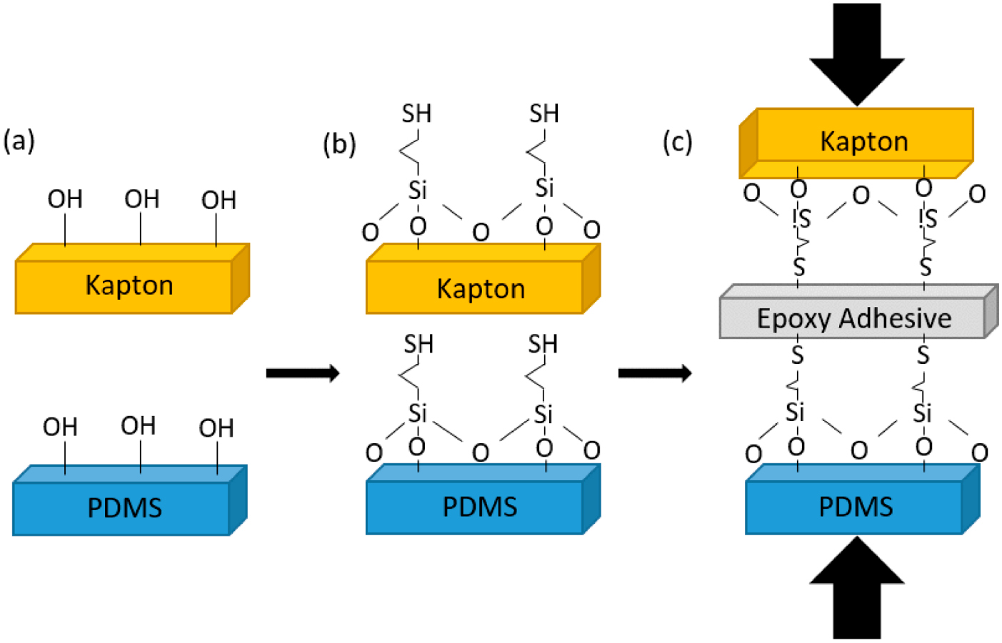 Irreversible bonding of polyimide and polydimethylsiloxane (PDMS) based ...