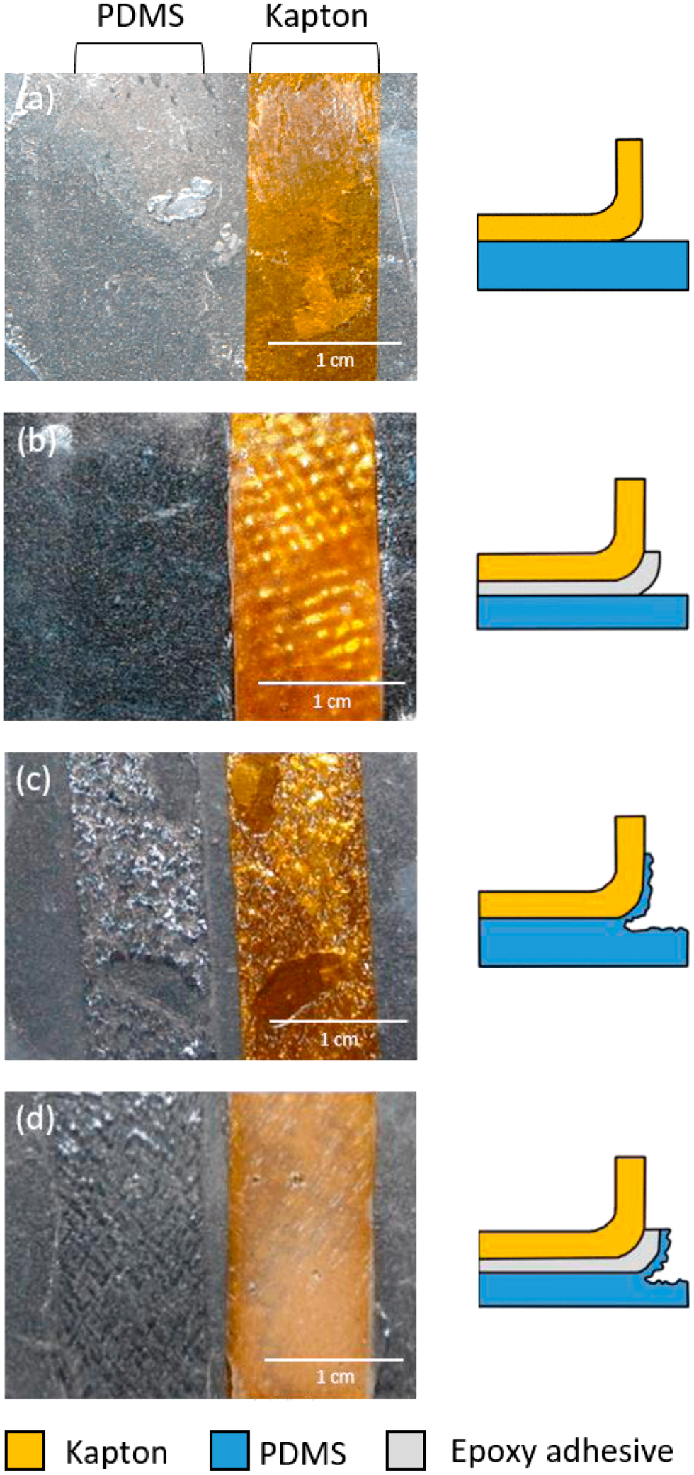 Irreversible bonding of polyimide and polydimethylsiloxane (PDMS) based ...