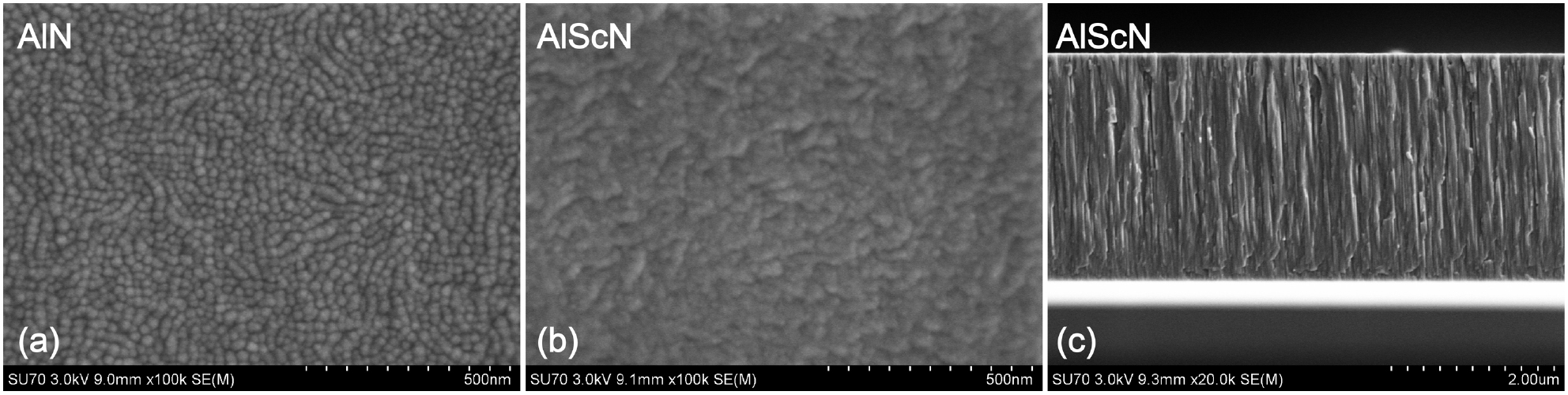 AlScN thin film based surface acoustic wave devices with enhanced ...