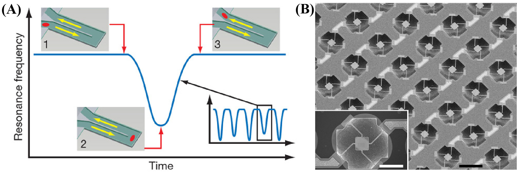 MEMS-based platforms for mechanical manipulation and characterization ...