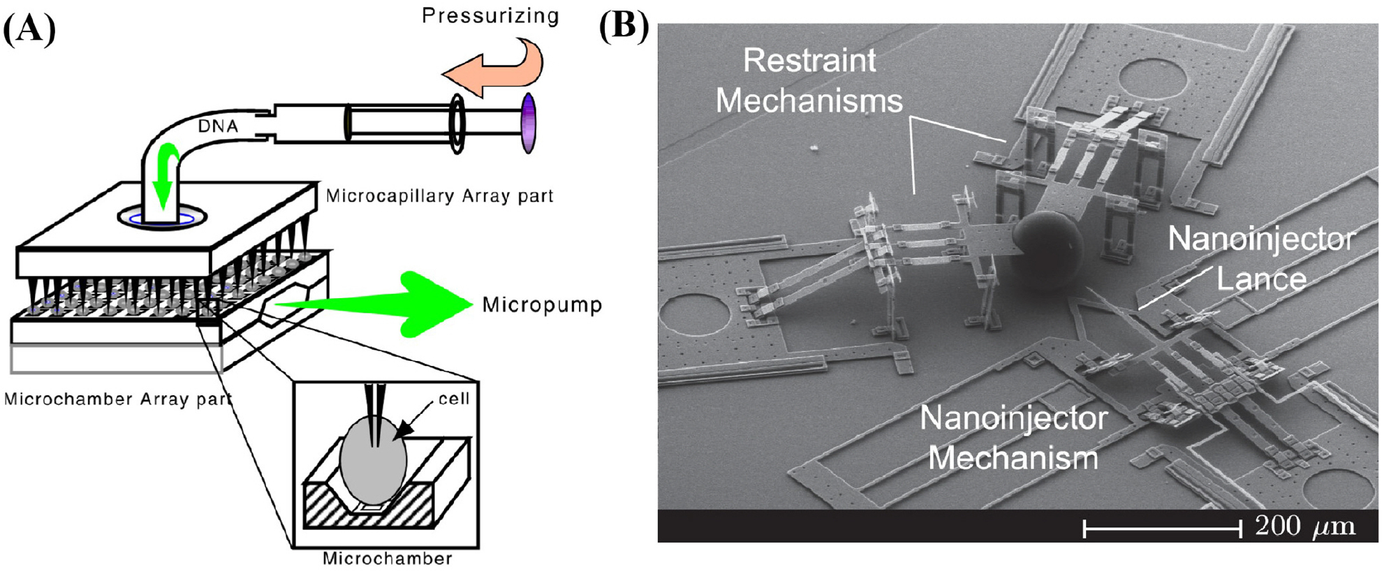 MEMS-based platforms for mechanical manipulation and characterization ...