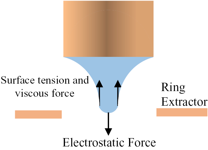 Design, modeling and testing of integrated ring extractor for high ...