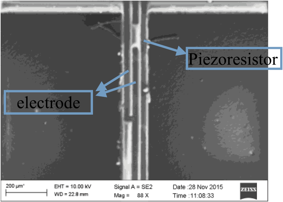 A ‘fitness-wheel-shaped’ MEMS vector hydrophone for 3D spatial acoustic ...