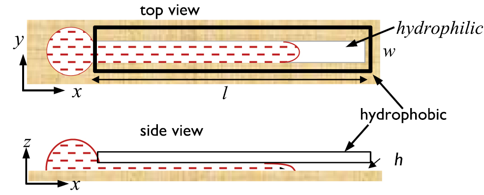 Modelling of capillary-driven flow for closed paper-based microfluidic ...