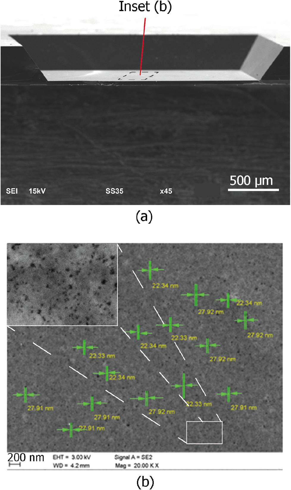 Electrochemically etched nanoporous silicon membrane for separation of ...
