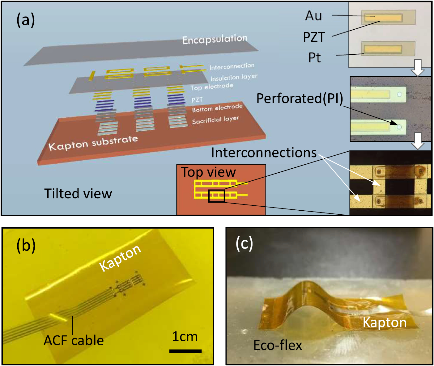 Ultrathin flexible piezoelectric sensors for monitoring eye fatigue ...