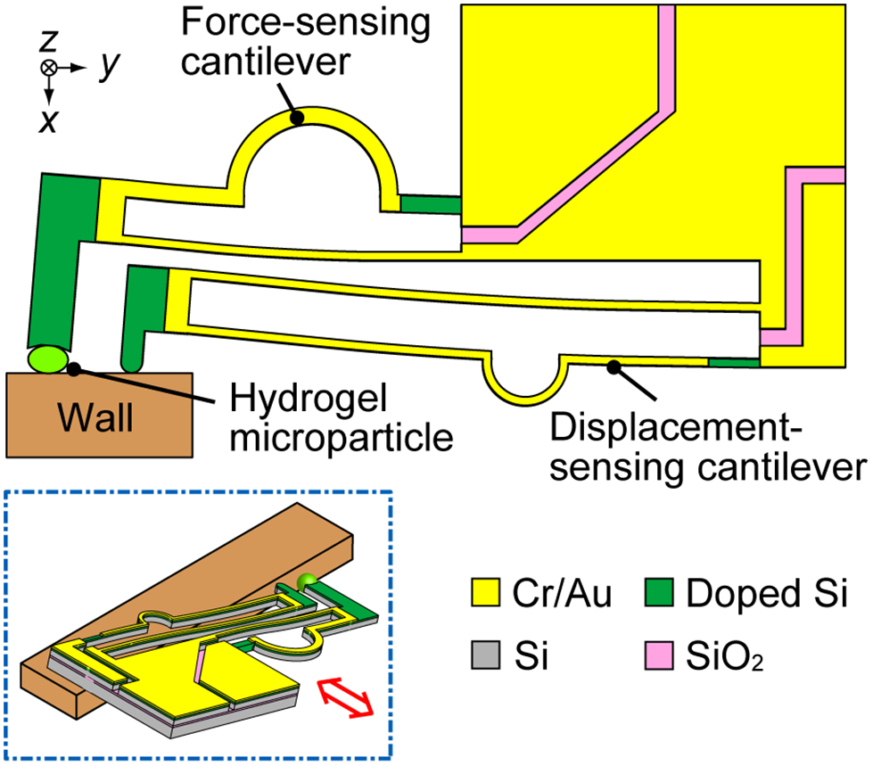 Spring constant measurement using a MEMS force and displacement sensor ...