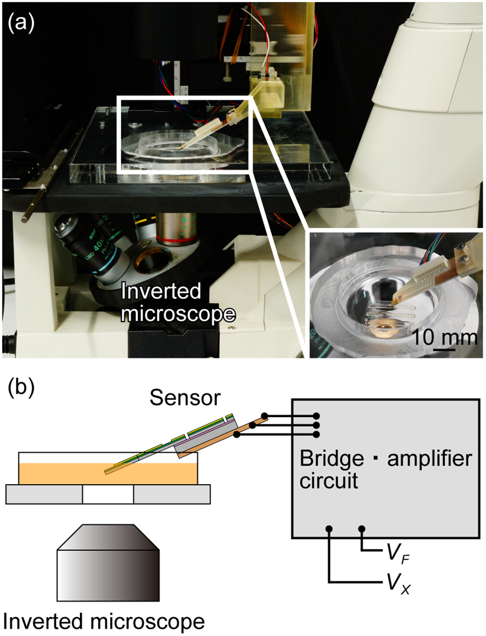 Spring constant measurement using a MEMS force and displacement sensor ...