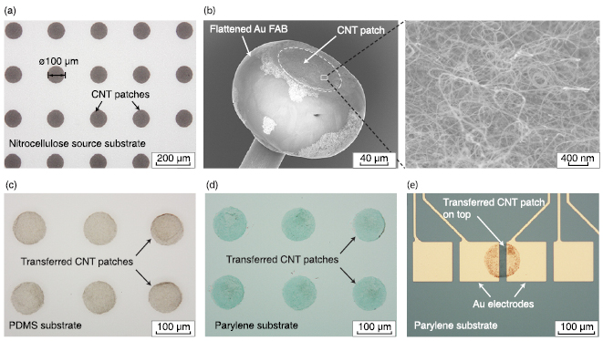 Transfer printing of nanomaterials and microstructures using a wire ...
