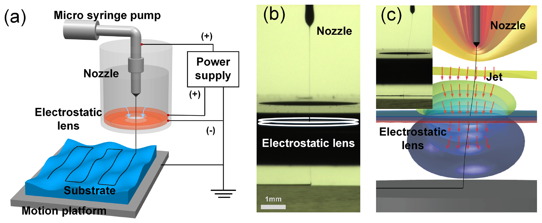 Theoretical and experimental studies of electrostatic focusing for ...