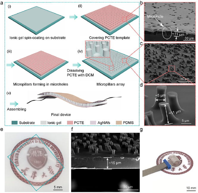 Highly sensitive ionic pressure sensor based on concave meniscus for ...