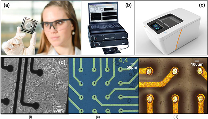 Development of in vitro 2D and 3D microelectrode arrays and their role ...