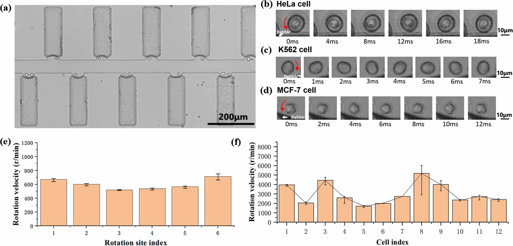 High-throughput acoustofluidic microchannels for single cell rotation ...