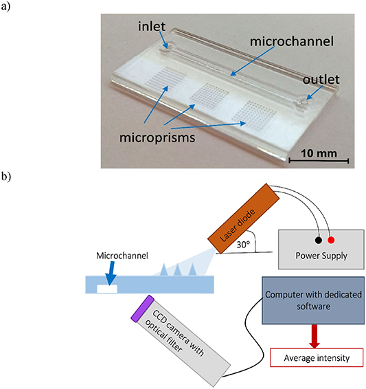 Glass microprism matrix for fluorescence excitation in lab-on-a-chip ...
