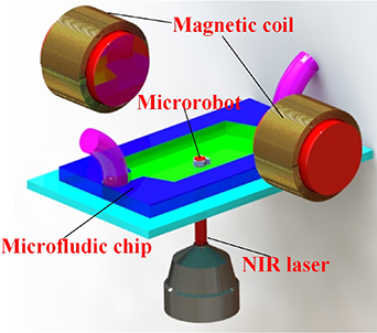 A dual-driven biomimetic microrobot based on optical and magnetic ...