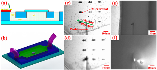 A dual-driven biomimetic microrobot based on optical and magnetic propulsion - IOPscience