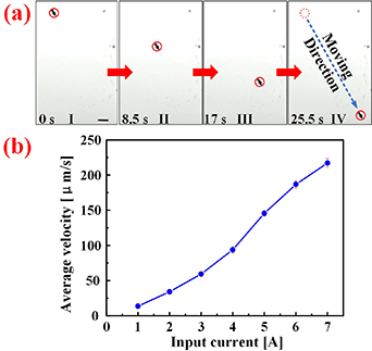 A dual-driven biomimetic microrobot based on optical and magnetic ...