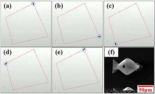 A dual-driven biomimetic microrobot based on optical and magnetic ...