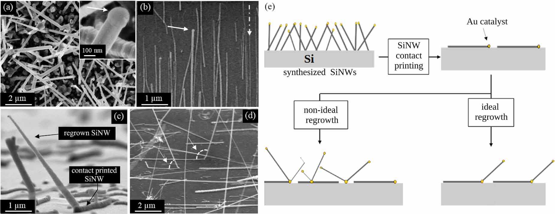 Exploring nanowire regrowth for the integration of bottom-up grown ...