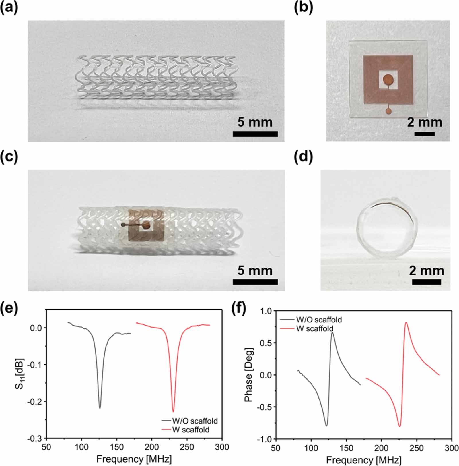 Additive manufactured cardiovascular scaffold integrated with SU-8 ...