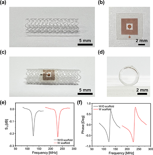 Additive manufactured cardiovascular scaffold integrated with SU-8 ...
