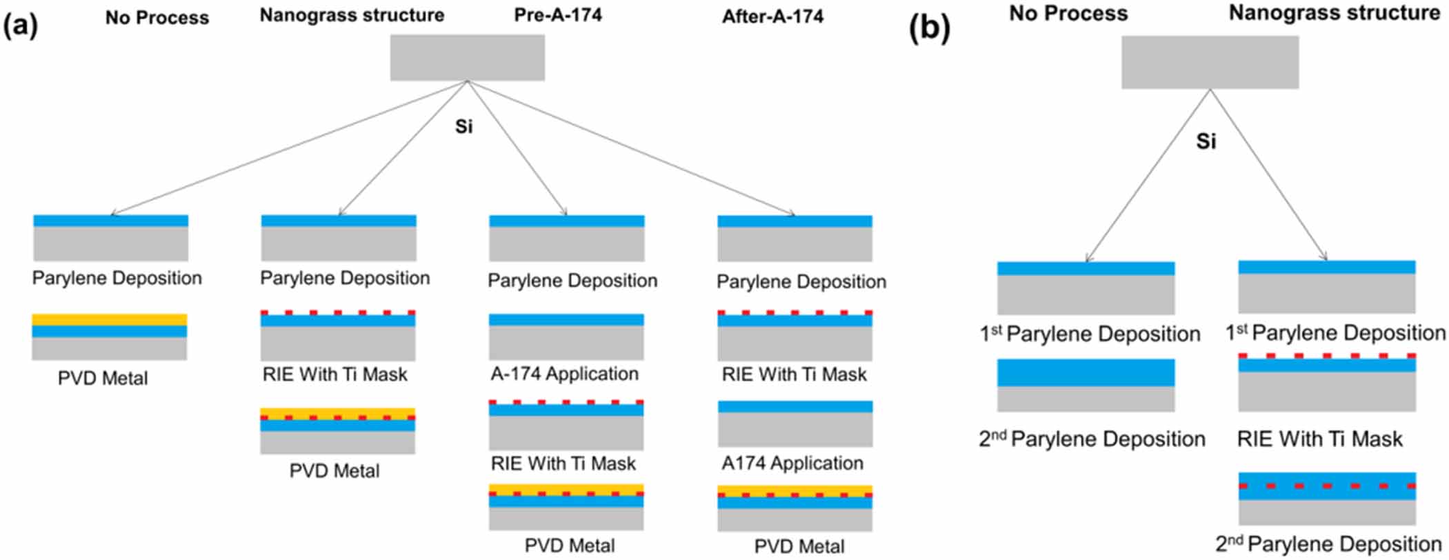Adhesion enhancement strategy for Parylene C substrate by nanograss ...