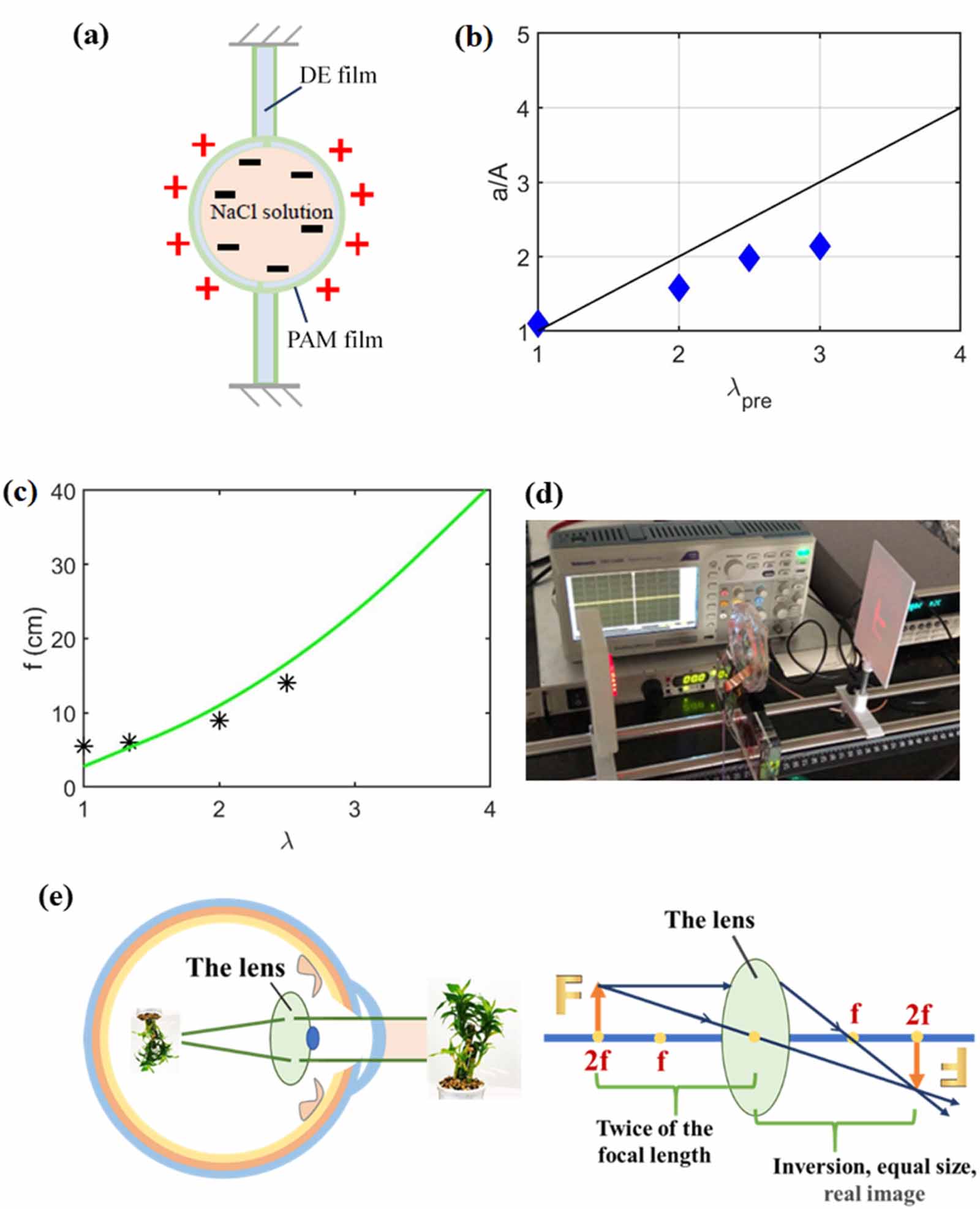 Miniature and tunable high voltage-driven soft electroactive biconvex ...