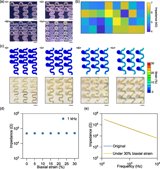 High-density stretchable microelectrode array based on multilayer ...