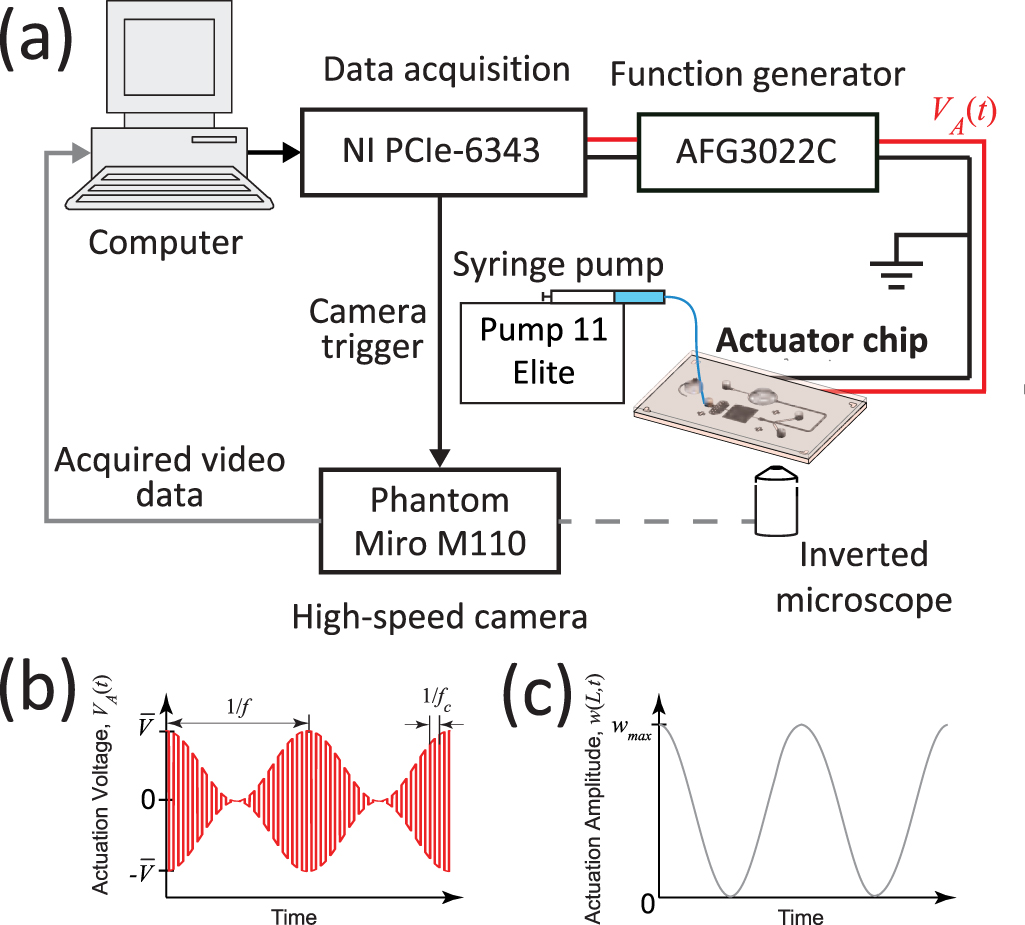 Statics and dynamics of an underwater electrostatic curved electrode ...