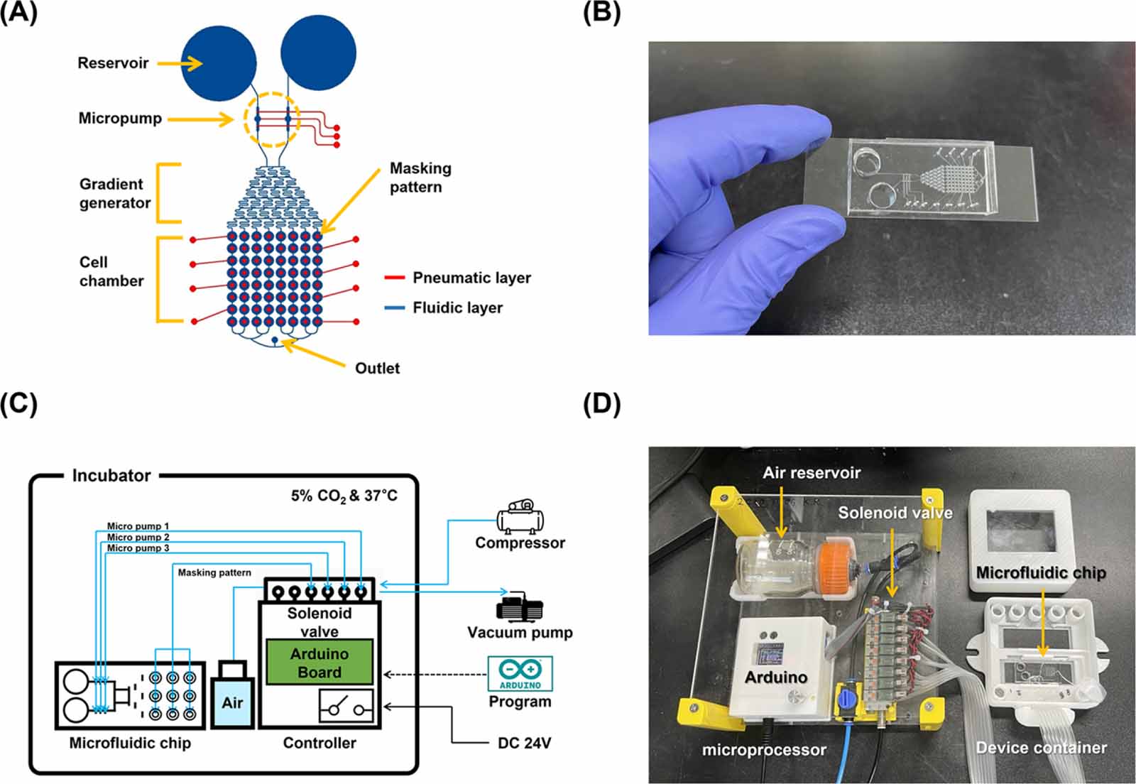 High throughput microfluidic drug screening system for corneal ...