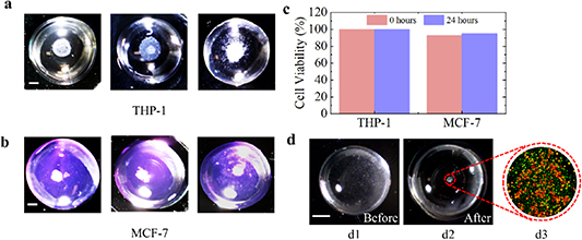 Developing a multi-sample acoustofluidic device for high-throughput ...