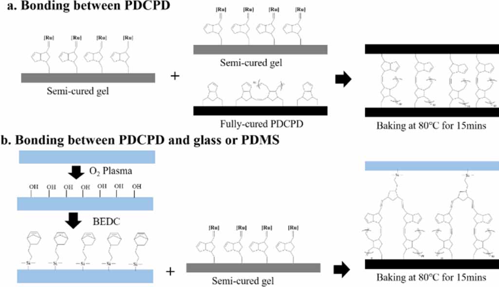 Rapid prototyping of microfluidics devices using novel thermoset ...