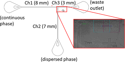 A novel approach to determining the hydrodynamic resistance of droplets ...