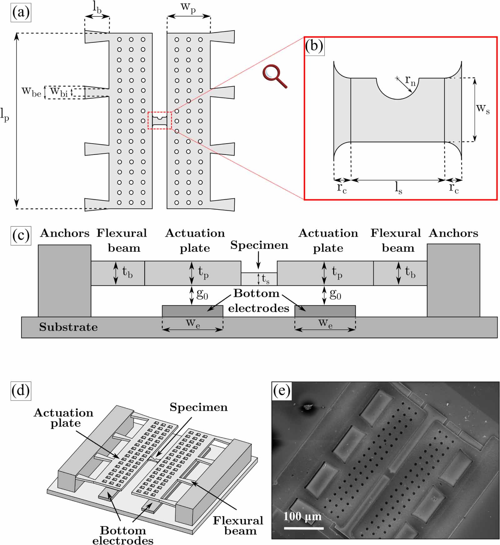 Fatigue fracture mechanics in gold-based MEMS notched specimens ...