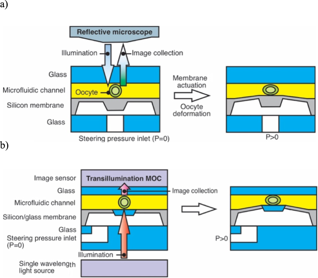 Transillumination lab-on-a-chip cytometer with silicon/glass membrane ...