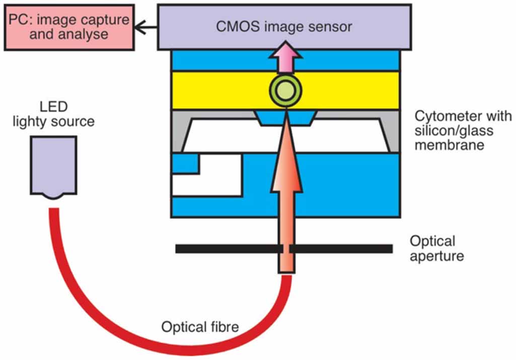 Transillumination lab-on-a-chip cytometer with silicon/glass membrane ...