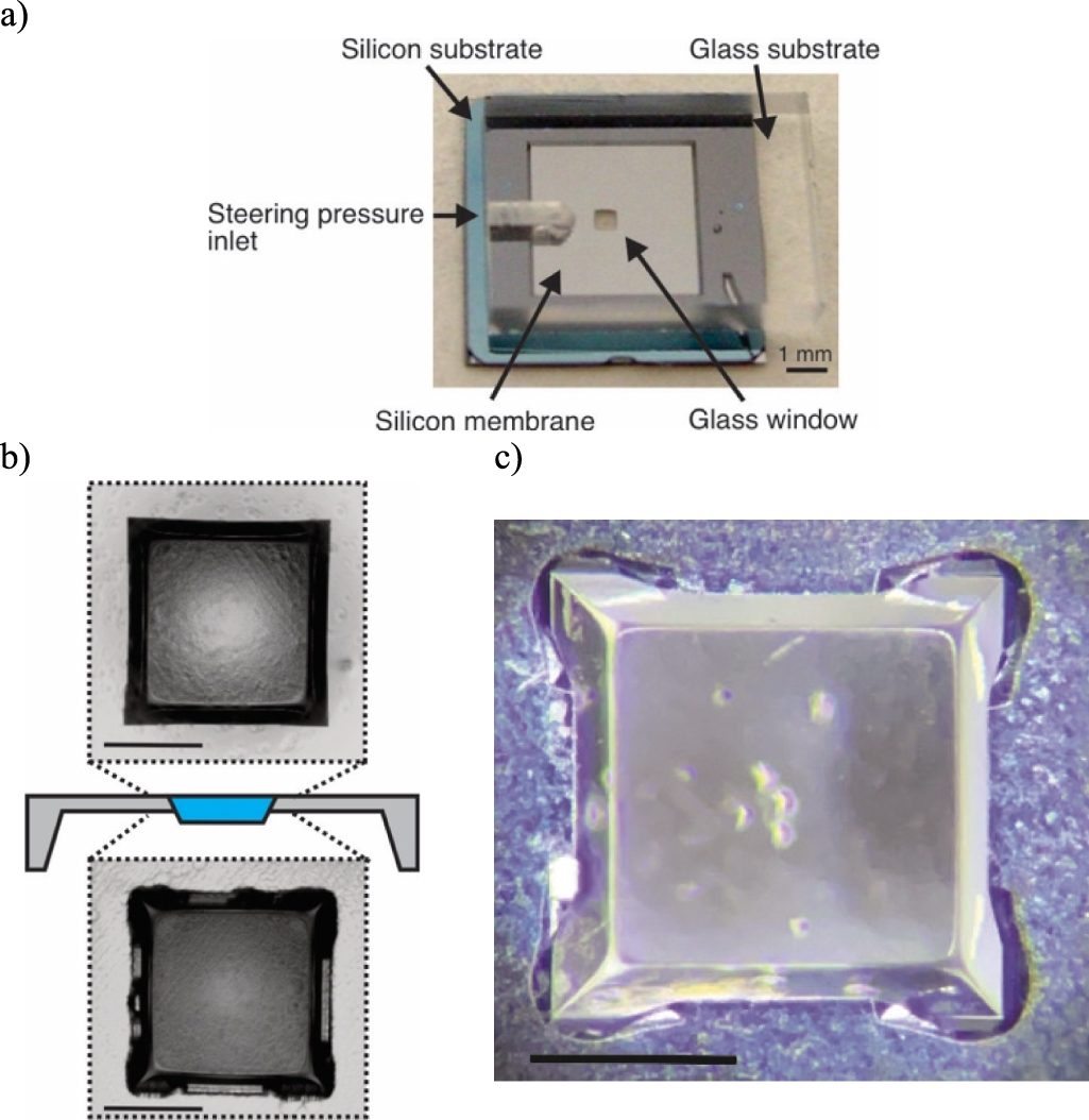 Transillumination lab-on-a-chip cytometer with silicon/glass membrane ...